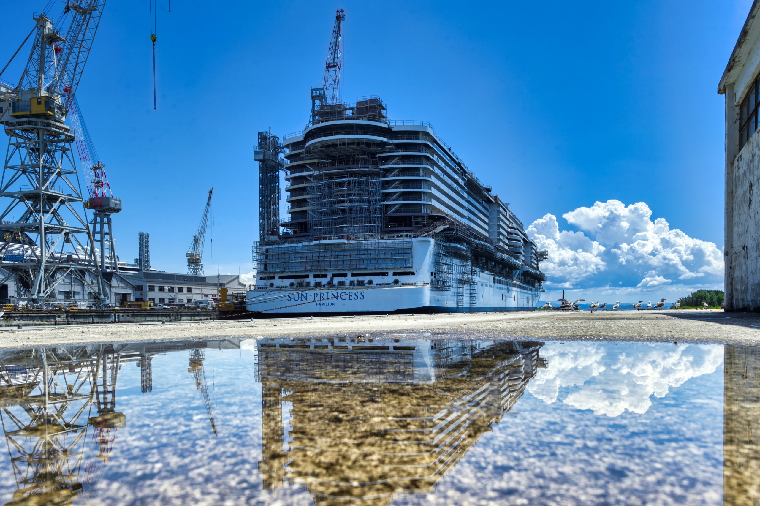 Navim is on Sun Princess! - Navim Group