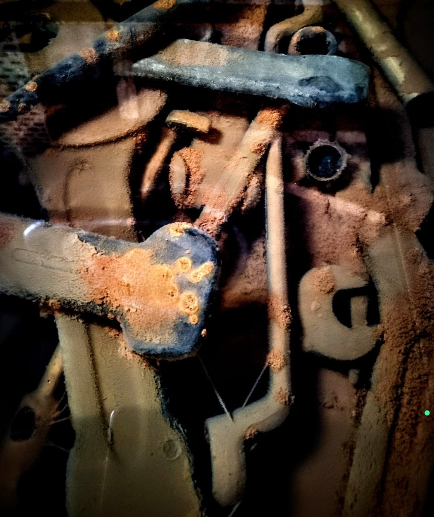 racconti d'aMare - Navim Group